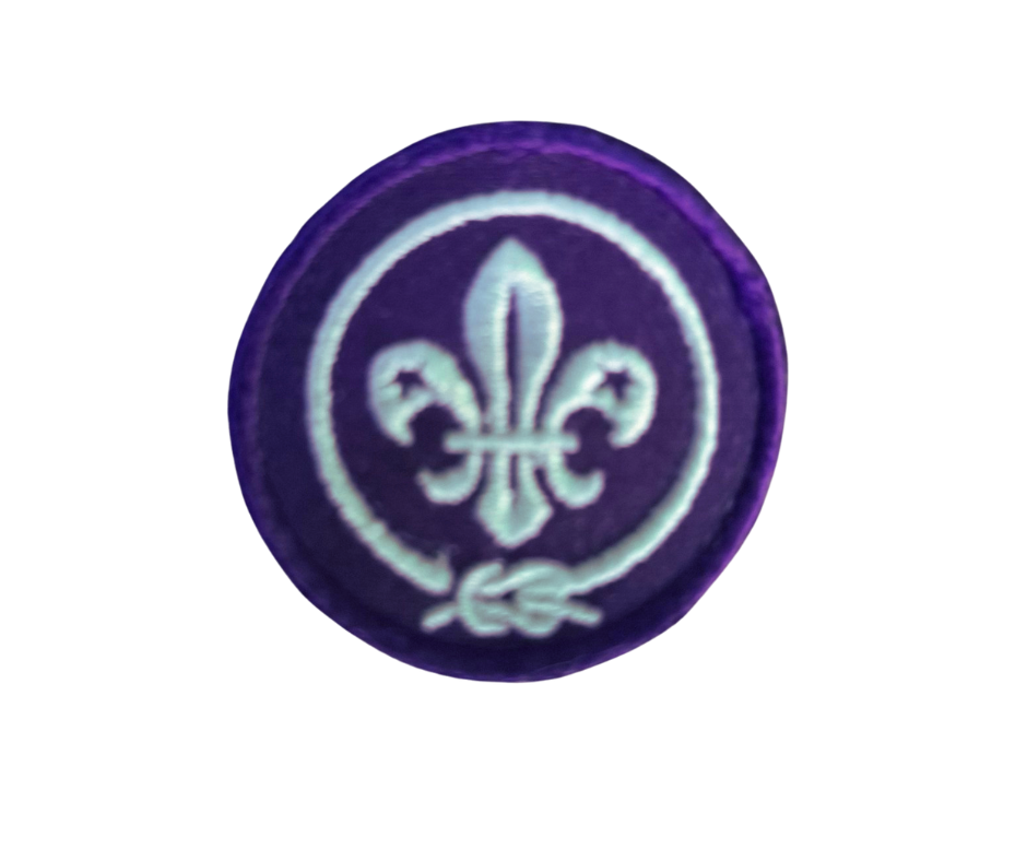 Ready for Life: World Scouting Badge New Brand Refresh in Full ...