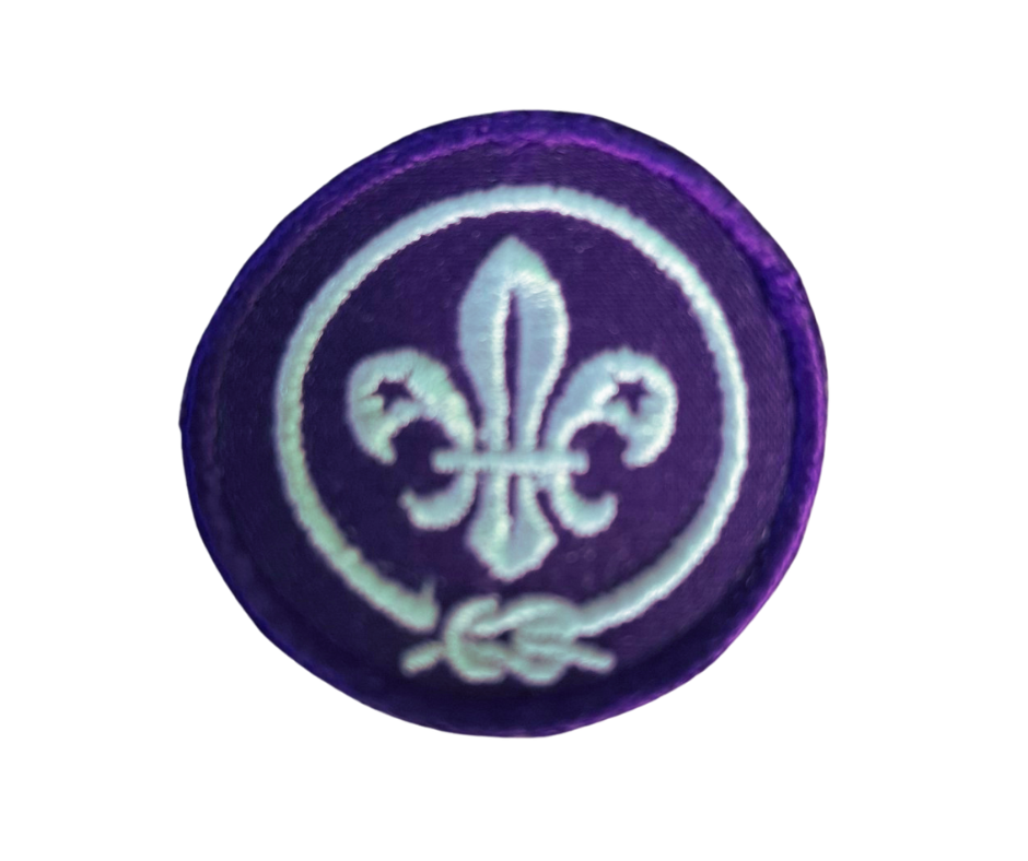 Ready for Life: World Scouting Badge New Brand Refresh in Full ...